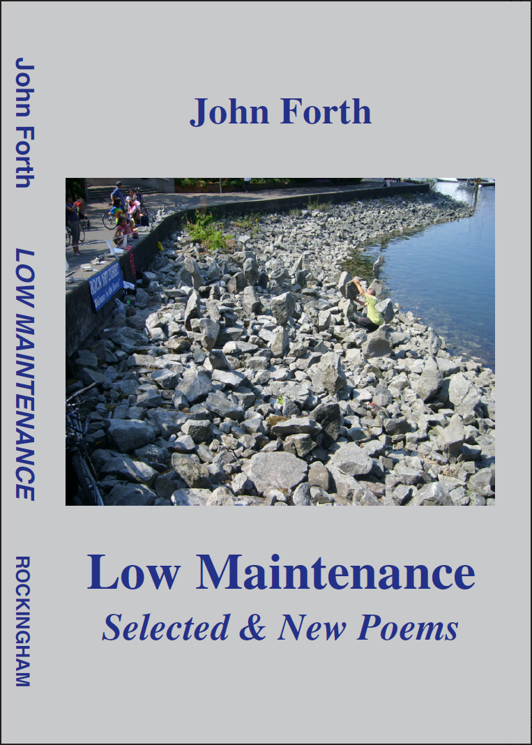 Low Maintenance front cover | Severn Press